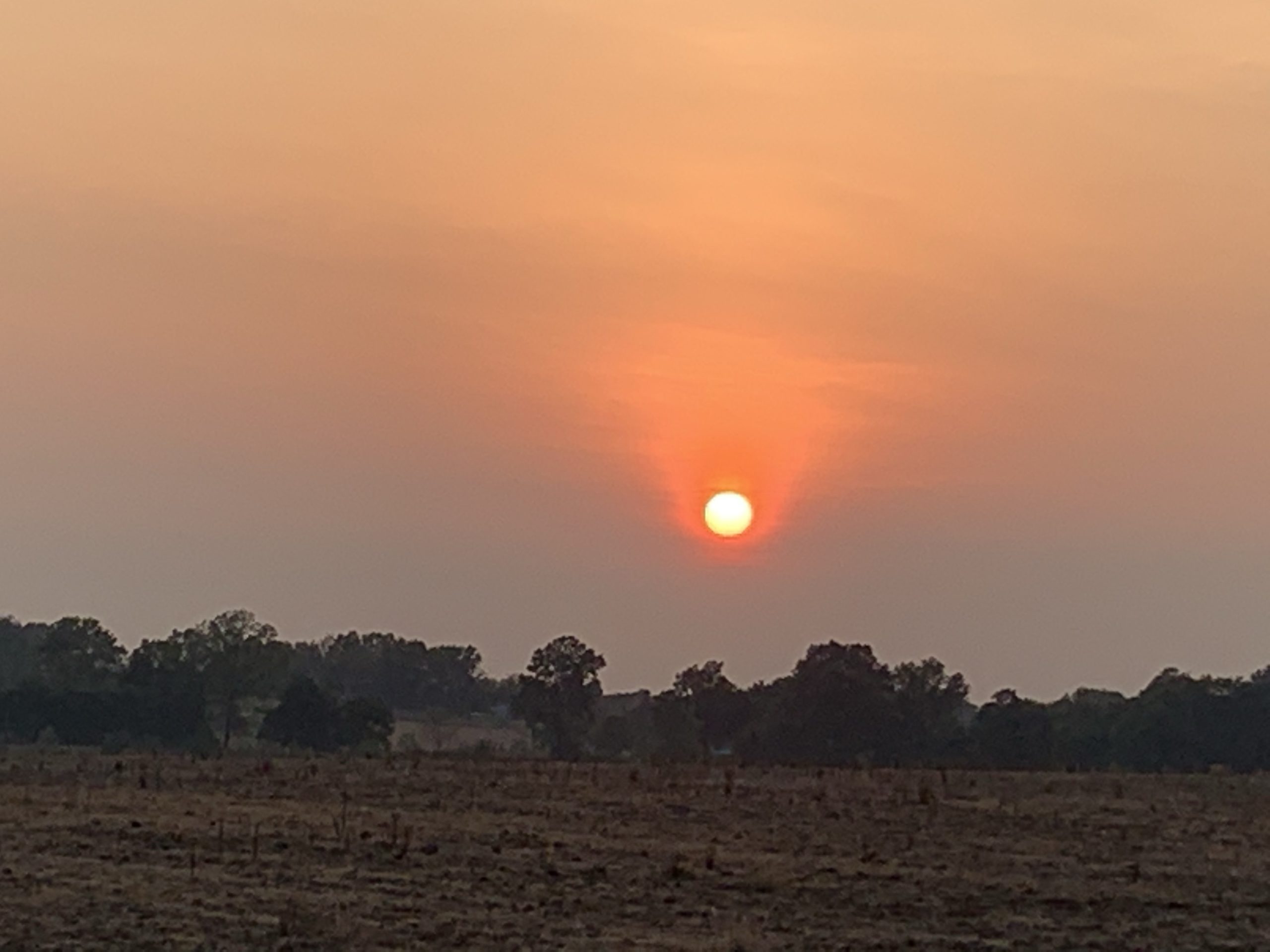 Transparent Moments: the struggle is real | My Joyfully Chaotic Life